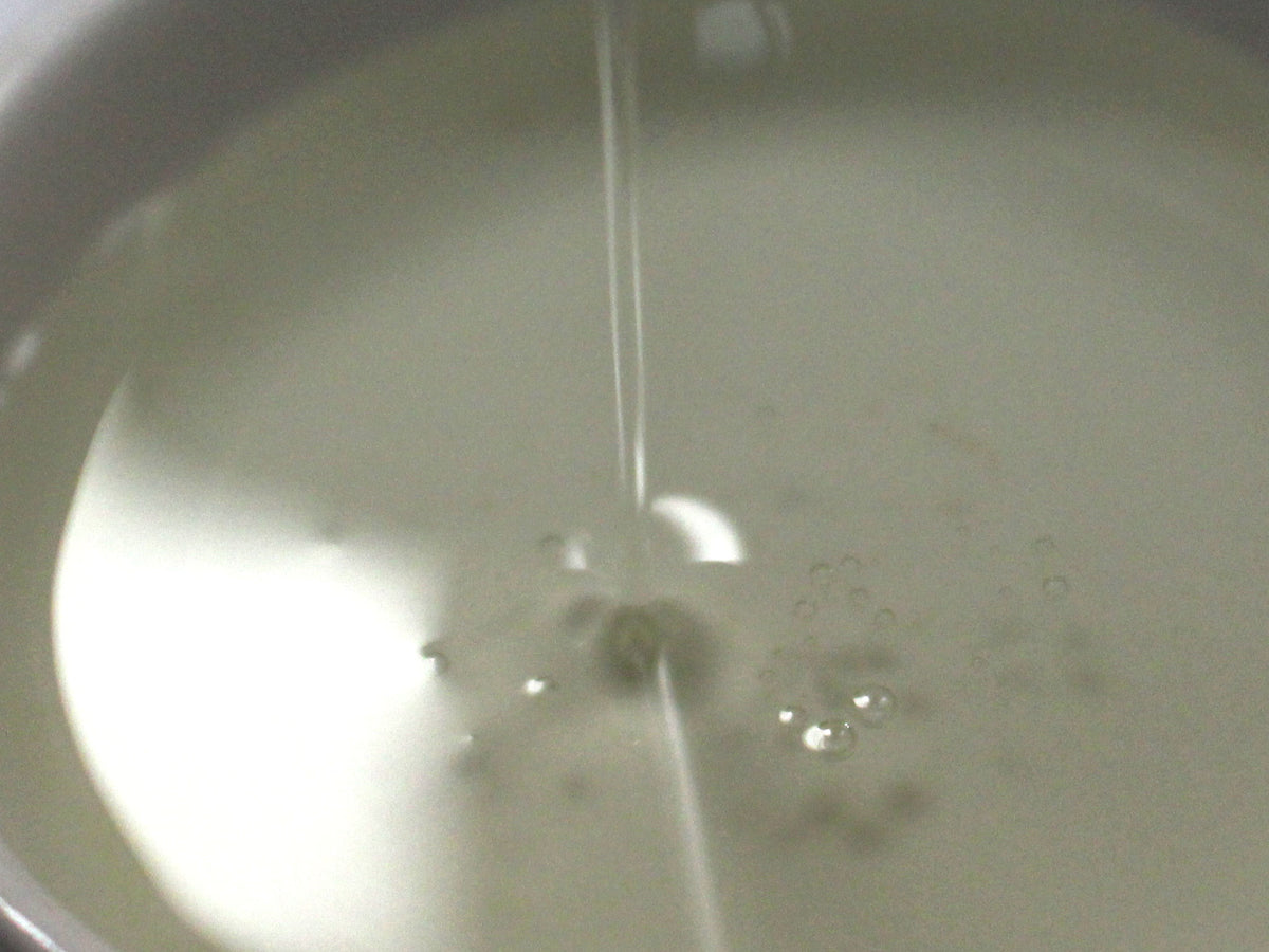 SHIZUOKAMOISTURE SERUM – NACHARAL